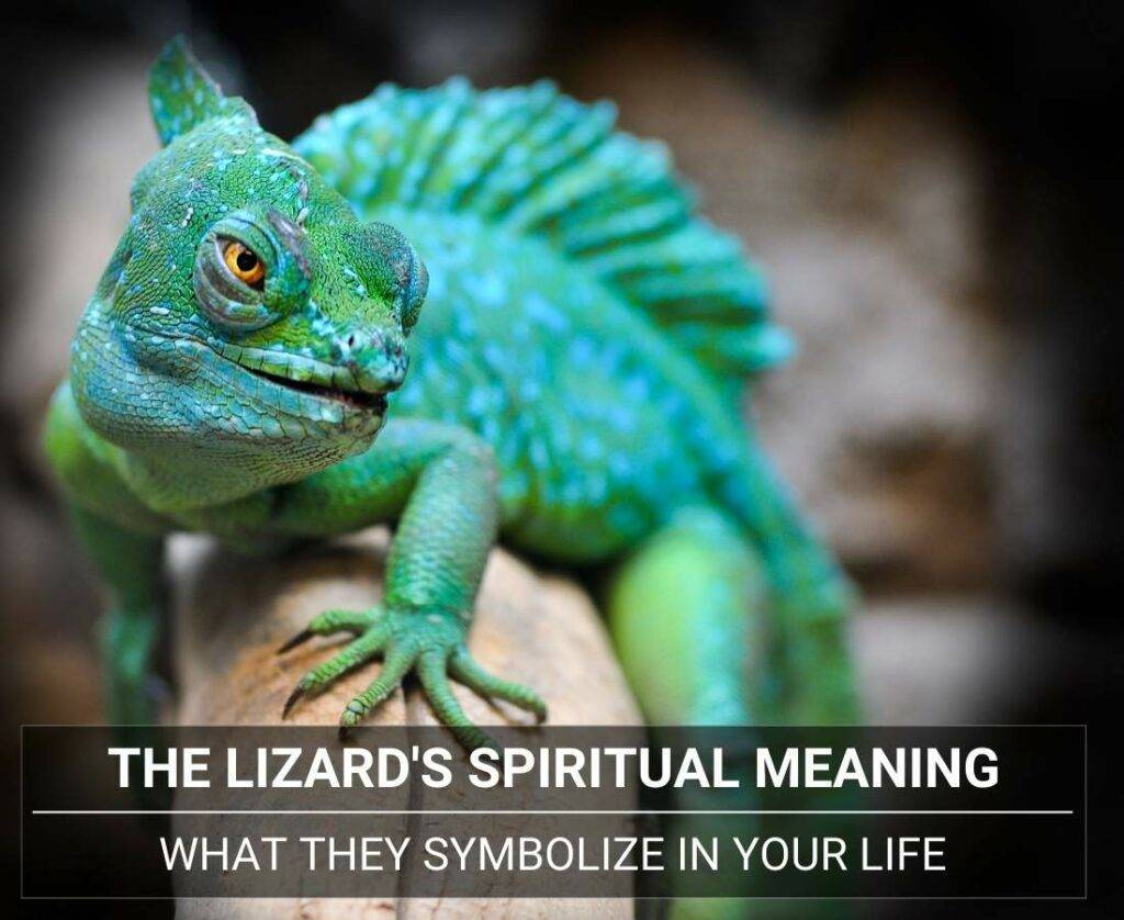Lizard Spiritual Meaning: Embrace Change And Renewal
