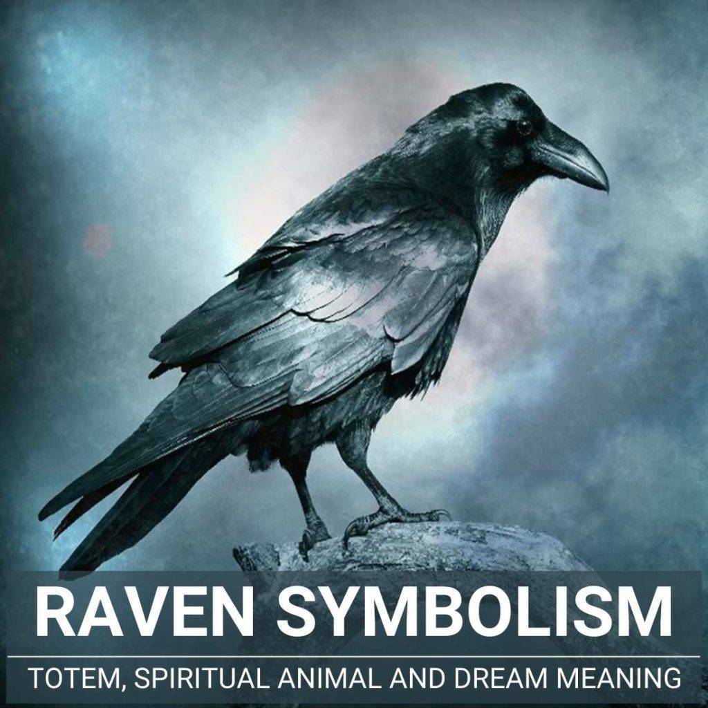 Raven Dream Meaning: Spiritual Symbolism & Biblical Significance