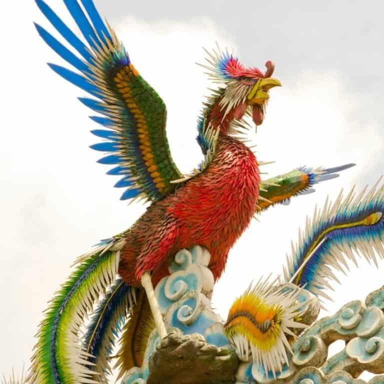 Top 10 Animals That Represent Fire: Fiery Animal Symbols