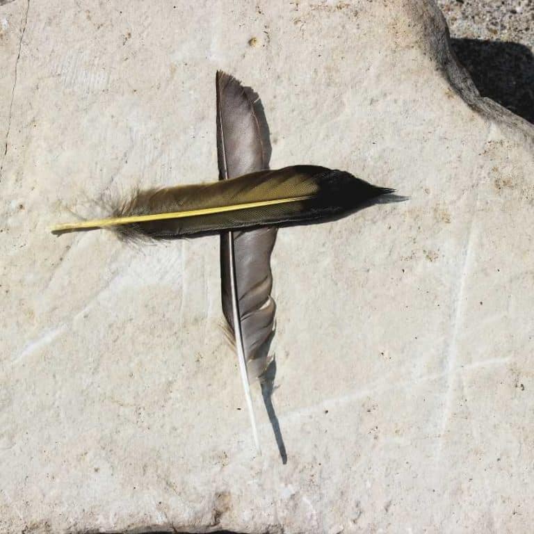 Feather Symbolism And Meaning: A Guide To Interpretations