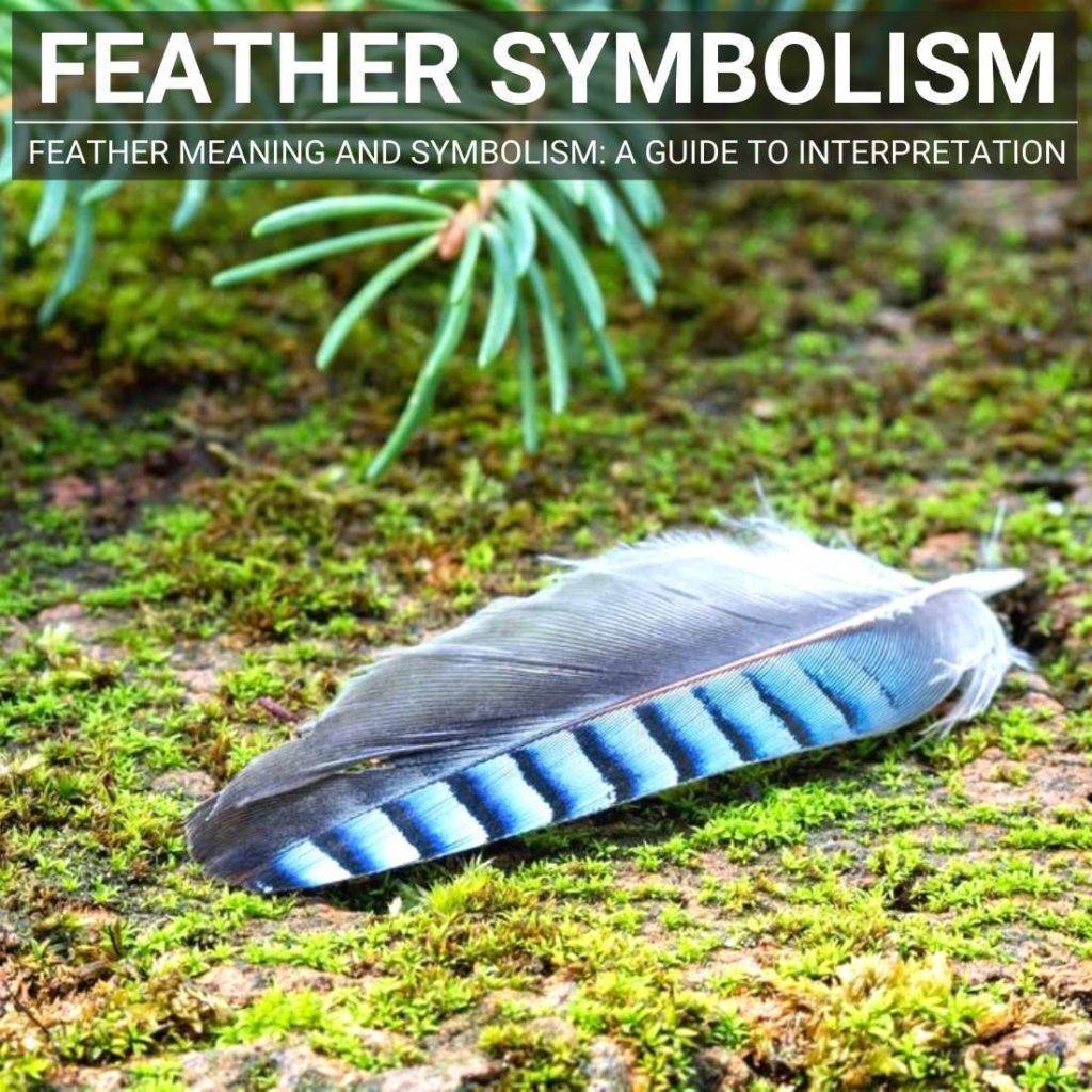 Feather Symbolism And Meaning: A Guide To Interpretations