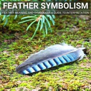 Feather Symbolism And Meaning: A Guide To Interpretations