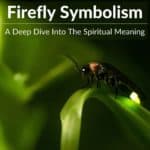 The Illuminating Significance Of Firefly Symbolism