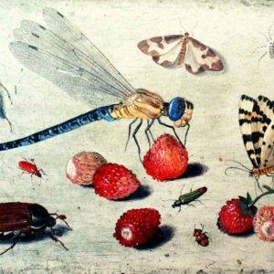 Discover Insect Symbolism: Uncover Their Spiritual Meaning