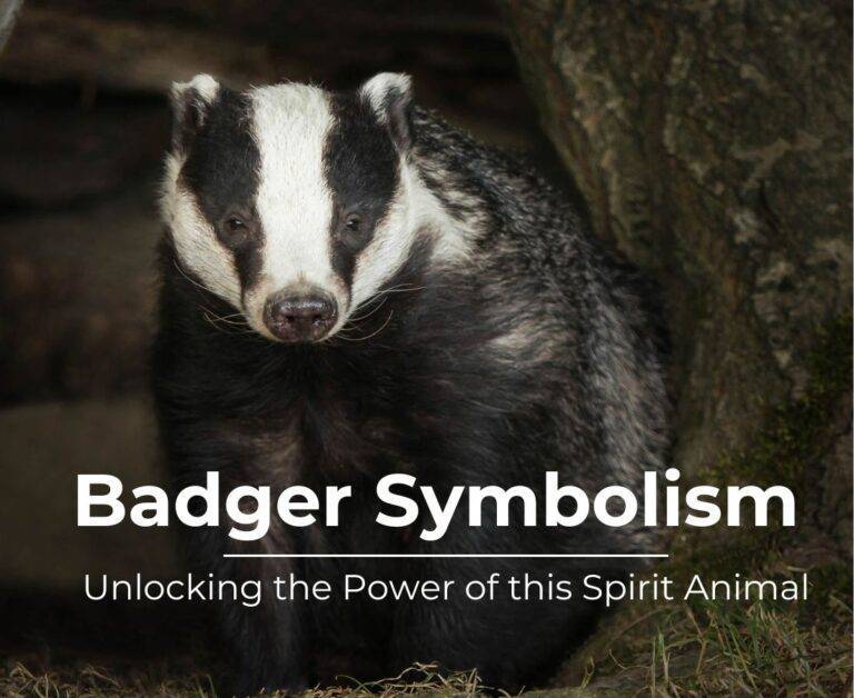 Badger Symbolism: Unlocking The Power Of This Spirit Animal