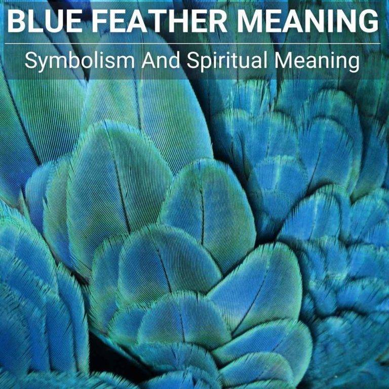 Blue Feather Meaning: The Vibrant Language Of Nature