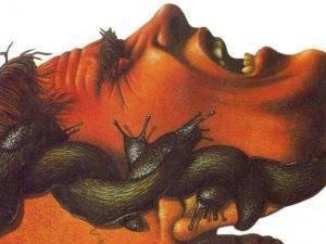 The Slug Spiritual Meaning - Full Guide To The Symbolism