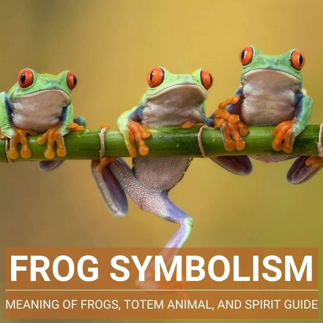 Frog Totem Symbol