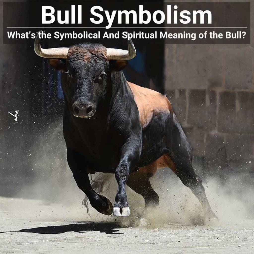 Bull Symbolism A Totem For Strength Power And Tenacity