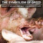 Symbols Of Greed: 10 Animals That Represent Greed & Selfish Desire