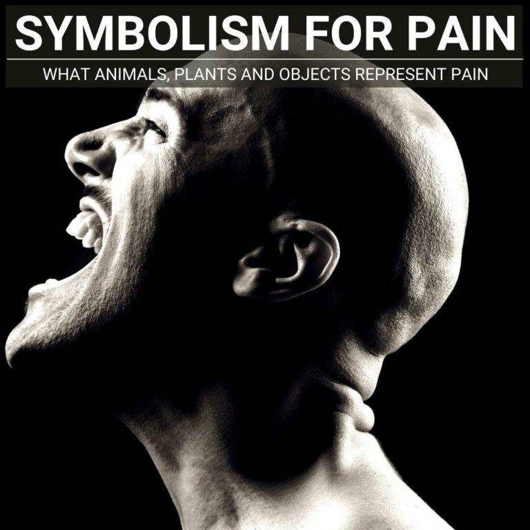Symbolism For Pain: What Animals, Plants And Objects Represent Pain
