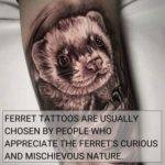 Ferret Symbolism: What Do Ferrets Represent Spiritually?