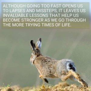 Discover Hare Symbolism: Spiritual Meaning And History