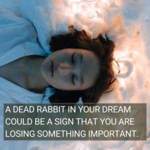 Dead Rabbit Symbolism: 6 Important Spiritual Meanings