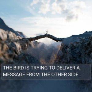 The Spiritual Genius Of Birds: Divine Messengers Of Wisdom