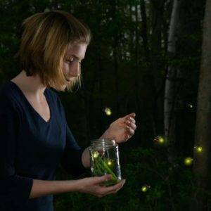 The Illuminating Significance Of Firefly Symbolism