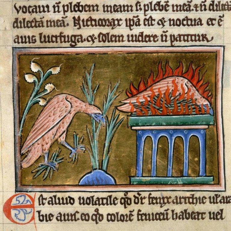 Phoenix Symbolism: Exploring Its Powerful Spiritual Impact