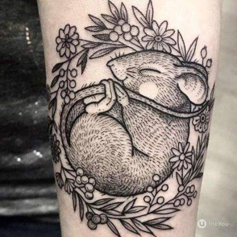 Mouse Symbolism: What Does A Mouse Mean Spiritually As An Animal Totem ...