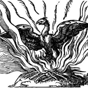 Phoenix Symbolism: The Spiritual Meaning Of The Rising Phoenix (2026)