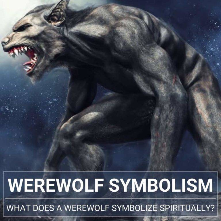 Werewolf Symbolism: What Is The Spiritual Meaning Of Werewolves?