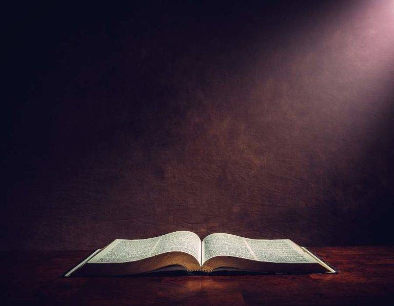 Red Cardinal Symbolism: Biblical Meaning & Spiritual Signs