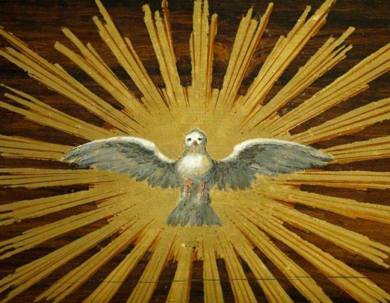 Nightingale Symbolism: Spiritual Meaning Of Hope And Transformation