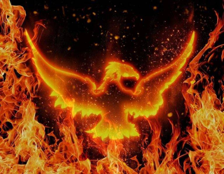 25 Wise Animals: What Animal Symbolizes Wisdom & Knowledge?