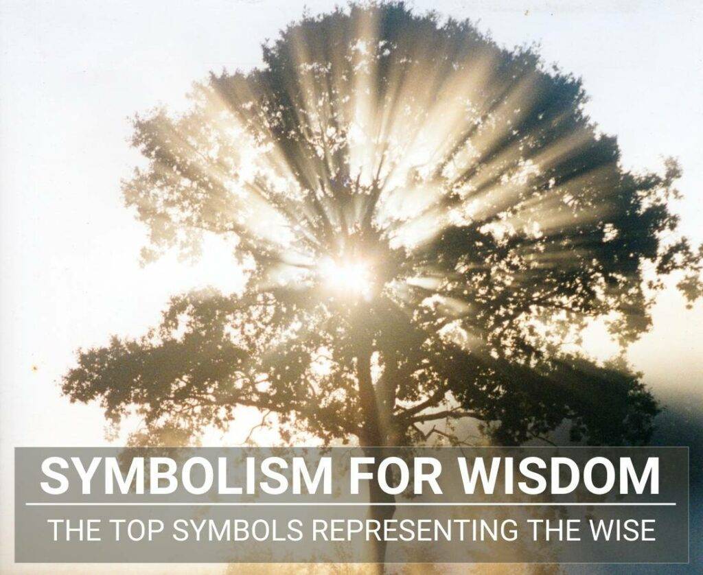 Symbolism For Wisdom: The Top Symbols Representing The Wise