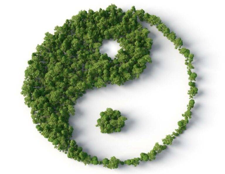 Balance Symbols And Spiritual Meaning: Finding Harmony