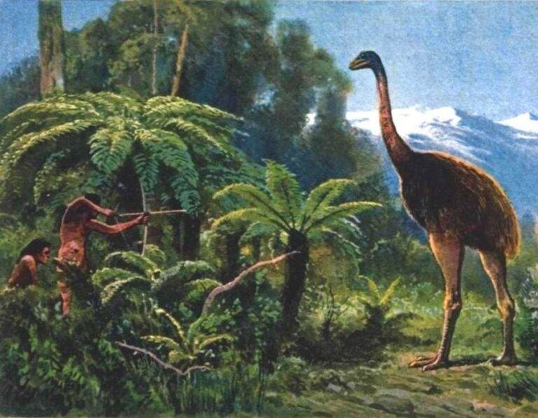 The Top Extinct Flightless Birds: Read Their Fascinating Stories