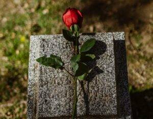 Do Orchids Symbolize Death? The White Flower Of Death Meaning