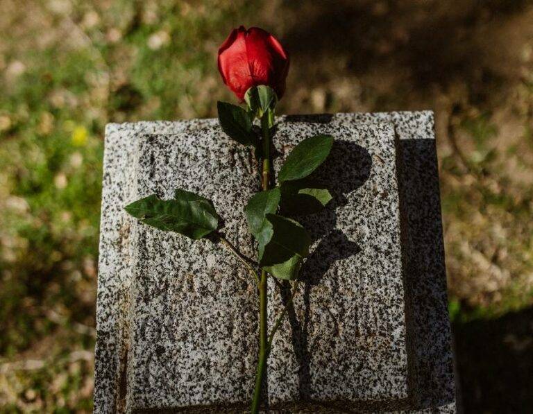 Do Orchids Symbolize Death? The White Flower Of Death Meaning