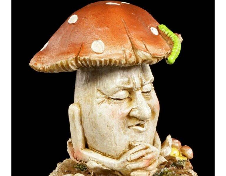 Mushroom Symbolism: The Spiritual And Cultural Meanings Of Mushrooms