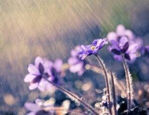 20 Symbols Of Purity: What They Mean And How To Use Them