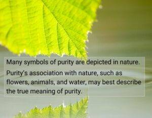 20 Symbols Of Purity: What They Mean And How To Use Them