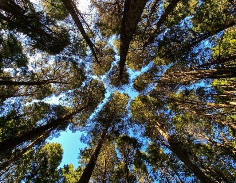 Balance Symbols And Spiritual Meaning: Finding Harmony