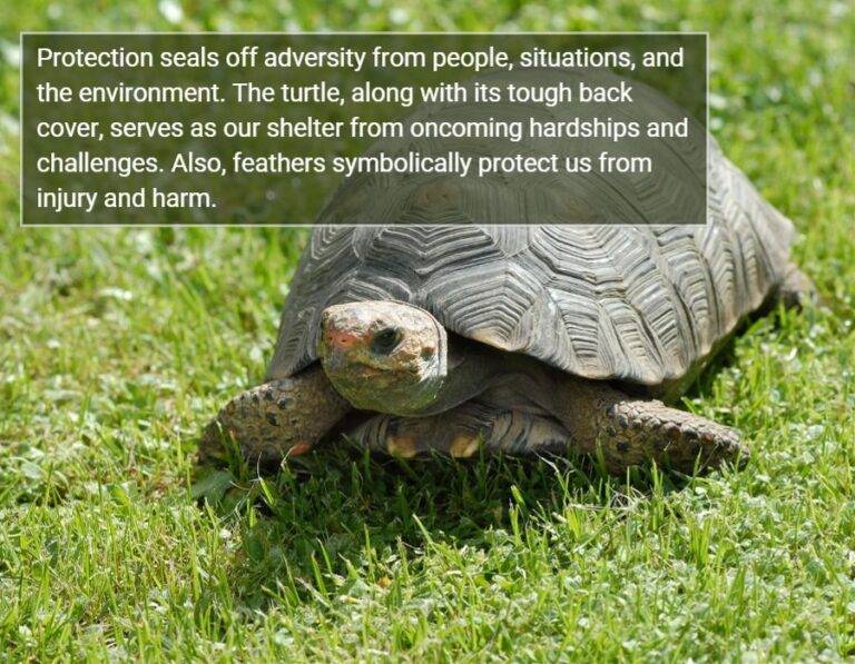 20 Powerful Symbols Of Protection You Should Know About - Richardalois.com