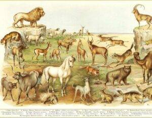 Animal Symbolism In The Bible: What Do Animals Represent Spiritually?