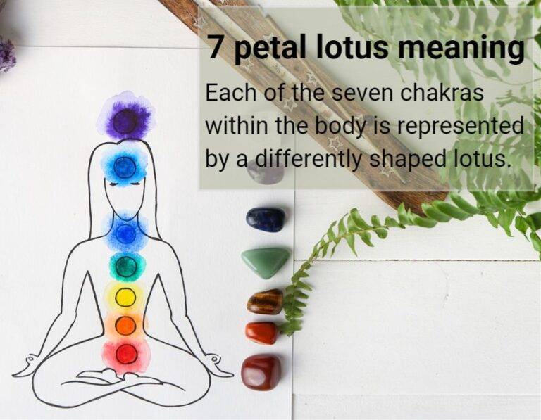 Lotus Flower Chakra Meaning: 7 Petal Symbols & Spiritual Healing