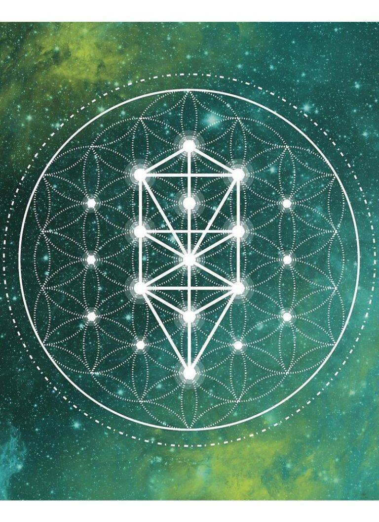 Transformation Symbols: Butterfly, Phoenix, Trees & More Guide