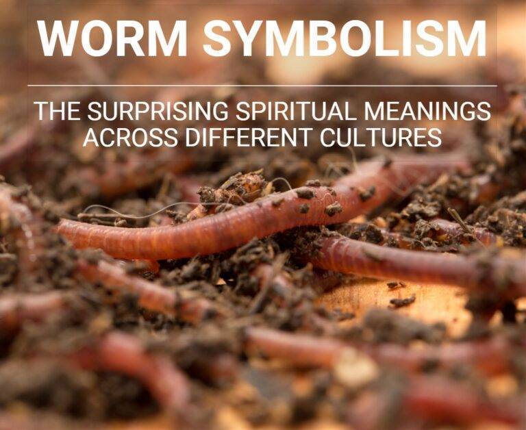 Spiritual Meaning Of Worms: Symbolism Across Cultures & Dreams