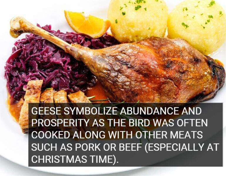 Geese Symbolism: Discover The Powerful Meanings