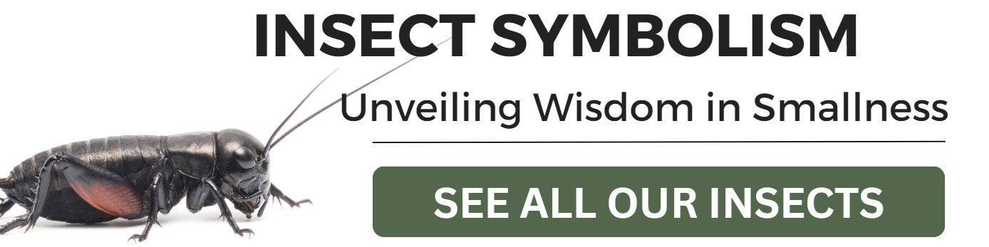 Discover Insect Symbolism: Uncover Their Spiritual Meaning