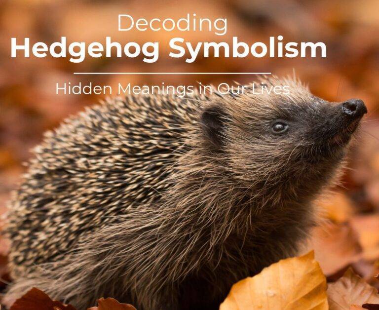 Hedgehog Symbolism: What Does A Hedgehog Mean For Good Luck?