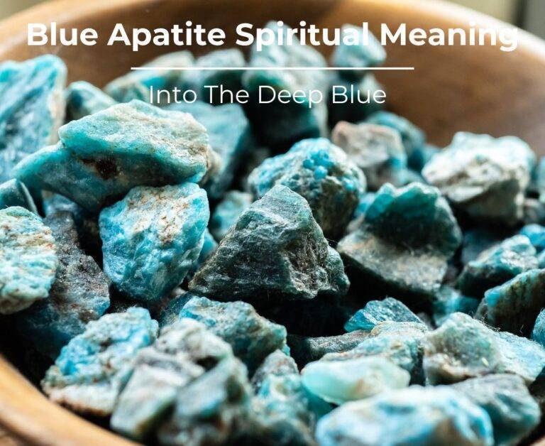 Ibis Symbolism: Revealing The Bird's Mystical Meanings