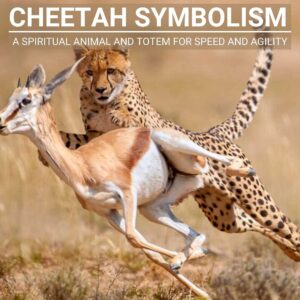 Cheetah Symbolism: Spiritual Animal For Speed And Agility